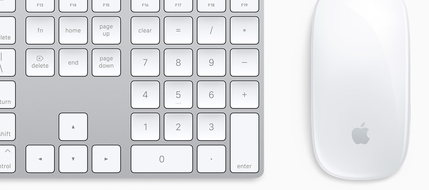 Apple Logo History - Everything You Need to Know About the Apple Logo